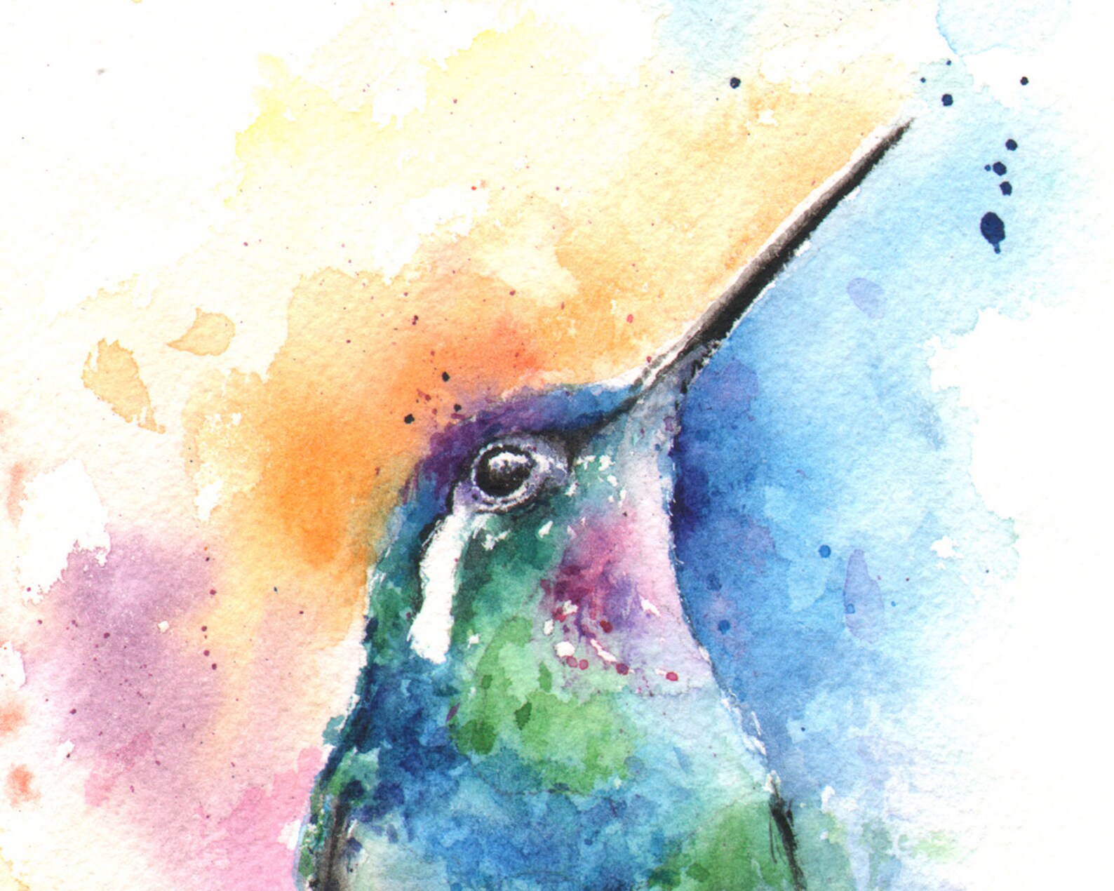 Hummingbird Watercolor Painting Art Print by Eric Sweet - Etsy