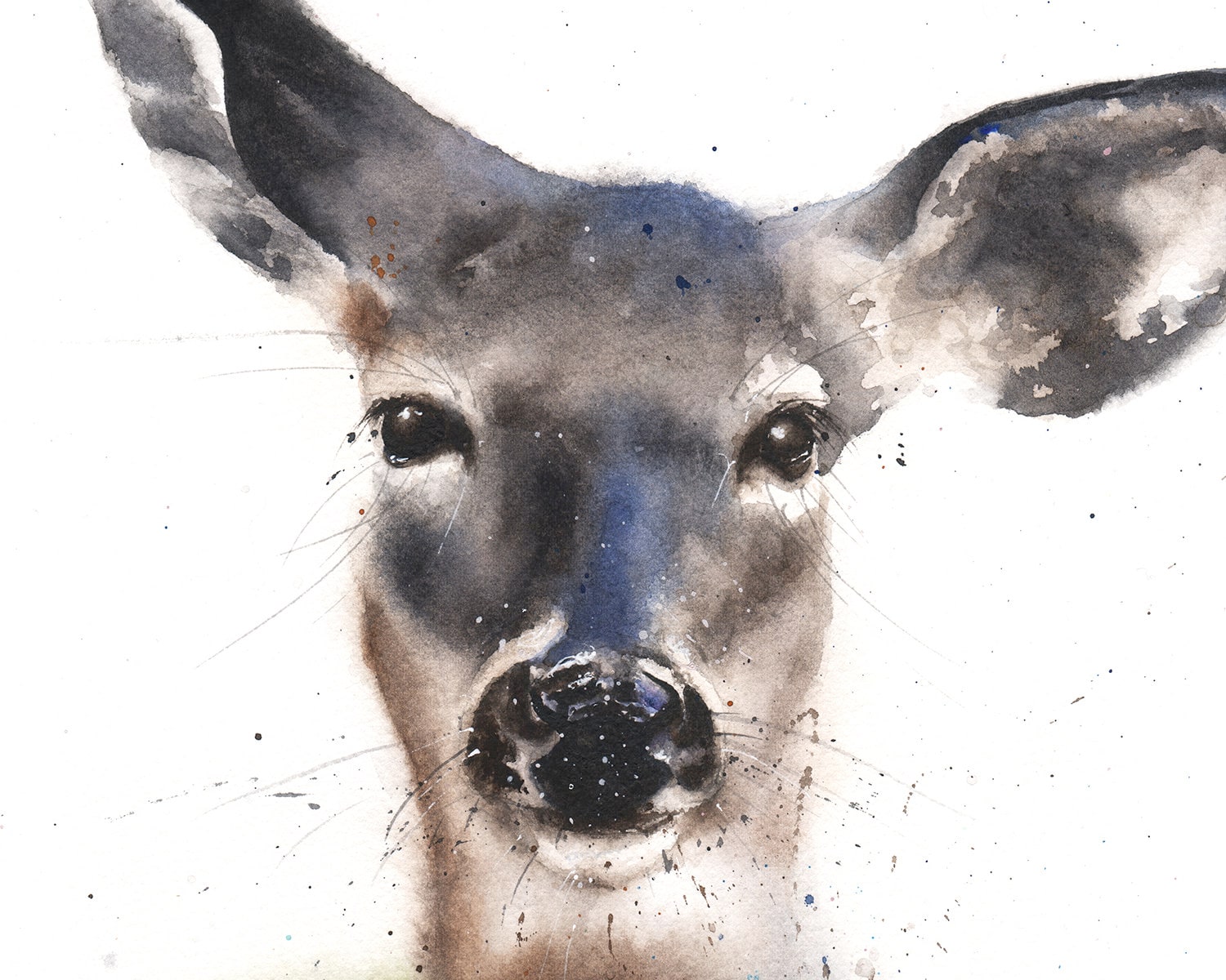 Doe Watercolor