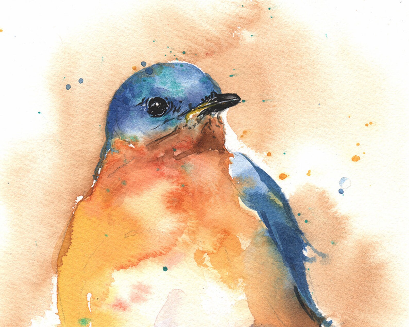 Eastern Bluebird Art Print Bird Watercolor Painting Decor by - Etsy