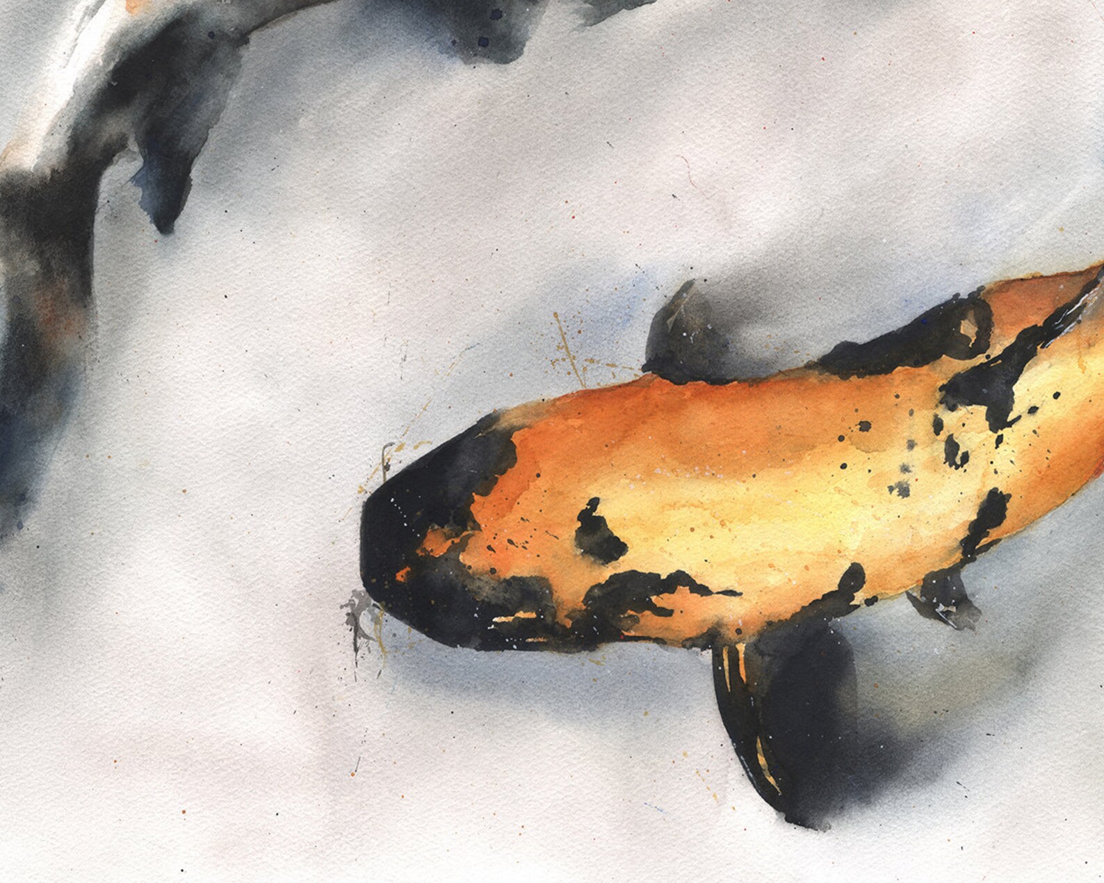 Koi Fish Watercolor Painting Original Watercolor Koi - Etsy