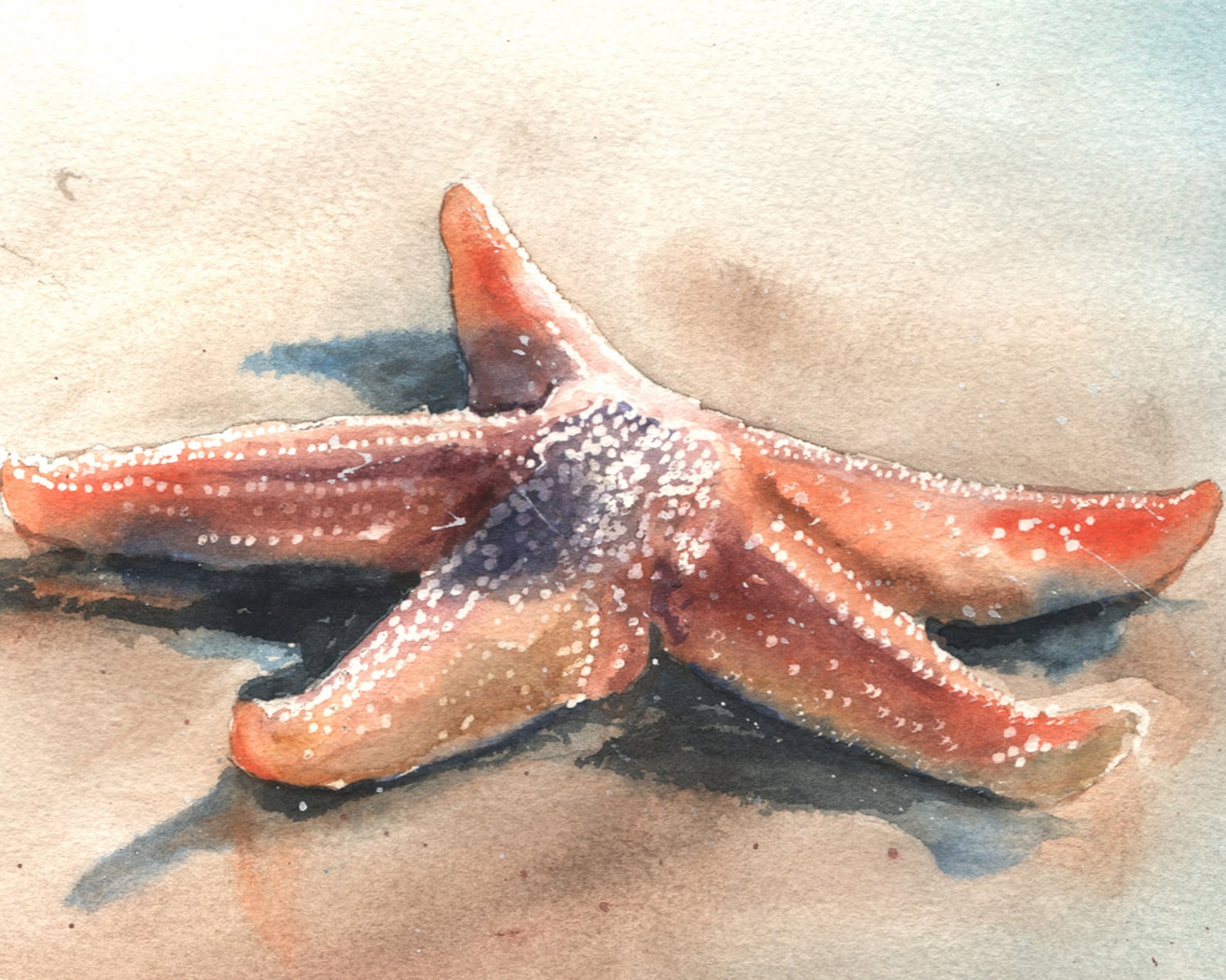 Starfish Watercolor Art Print - Marine Life Painting, Seaside Wall Art ...
