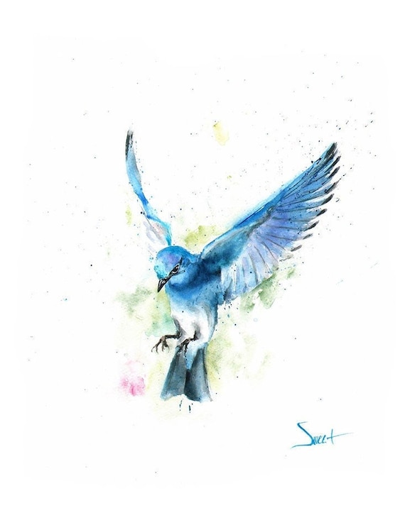 Flying Blue Bird Drawing