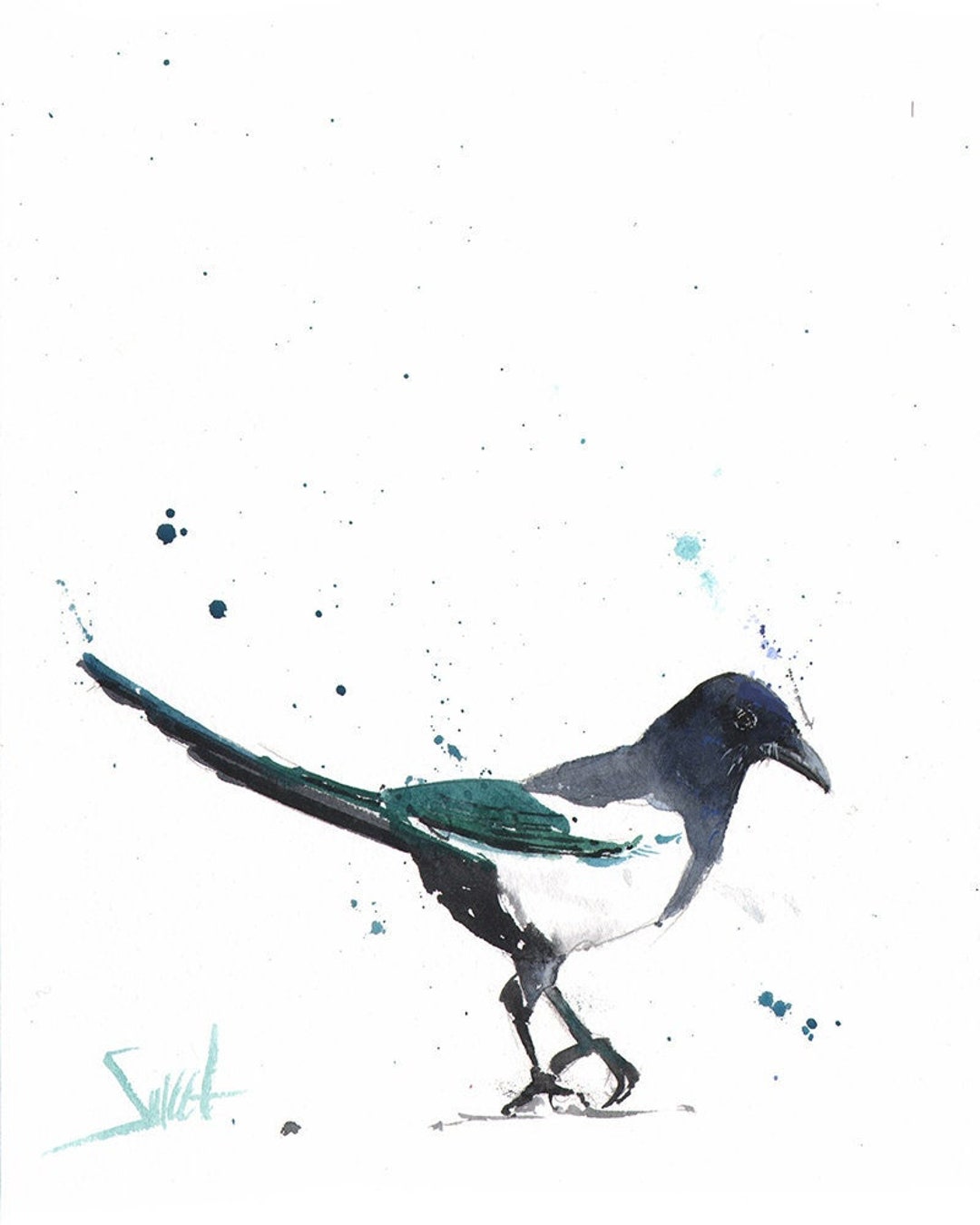Magpie Watercolor Art Print - Bird Wall Art - Etsy