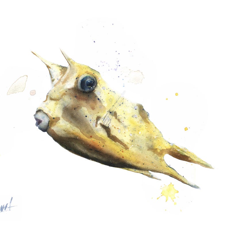 Cowfish - Etsy