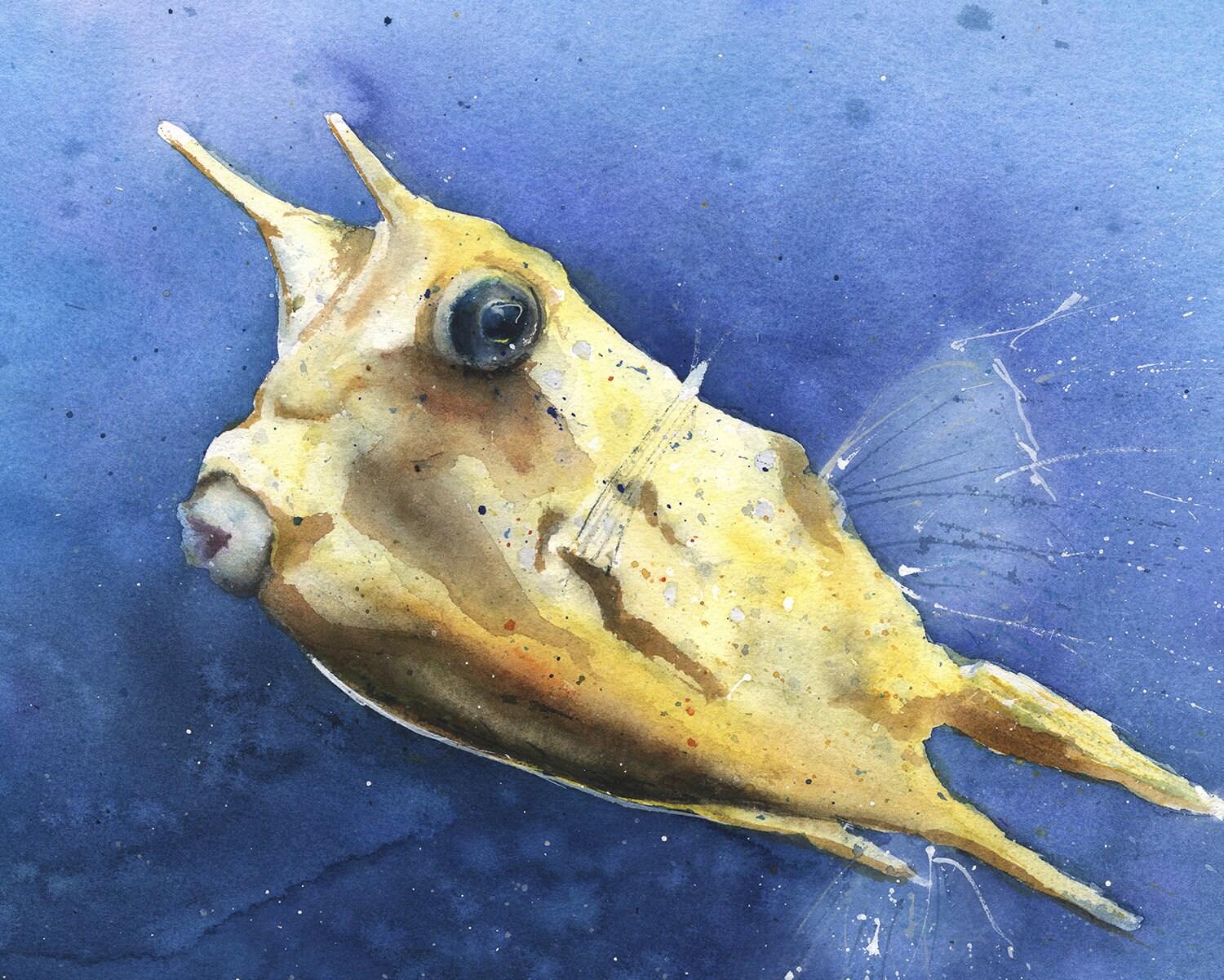 Longhorn Cowfish Art Fish Painting Watercolor Print by Eric - Etsy