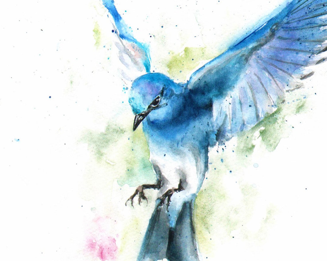 Mountain Bluebird in Flight Print Watercolor Bird Painting Art - Etsy