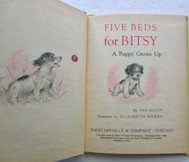 Five Beds for Bitsy, A Rand Mcnally Junior Elf Book, Vintage Childrens ...