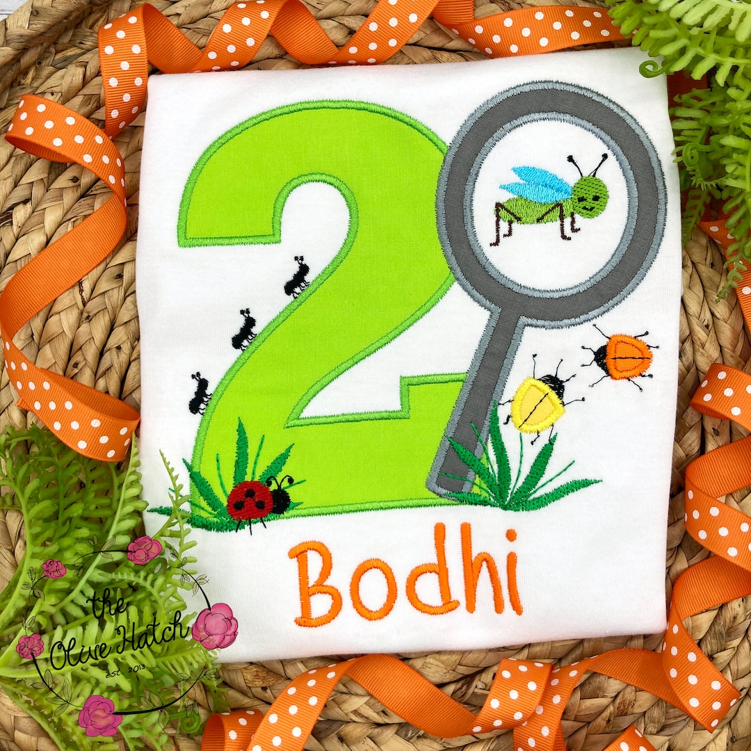 Bug Birthday Shirt/ Beetles Birthday Shirt / Summer Birthday Shirt ...