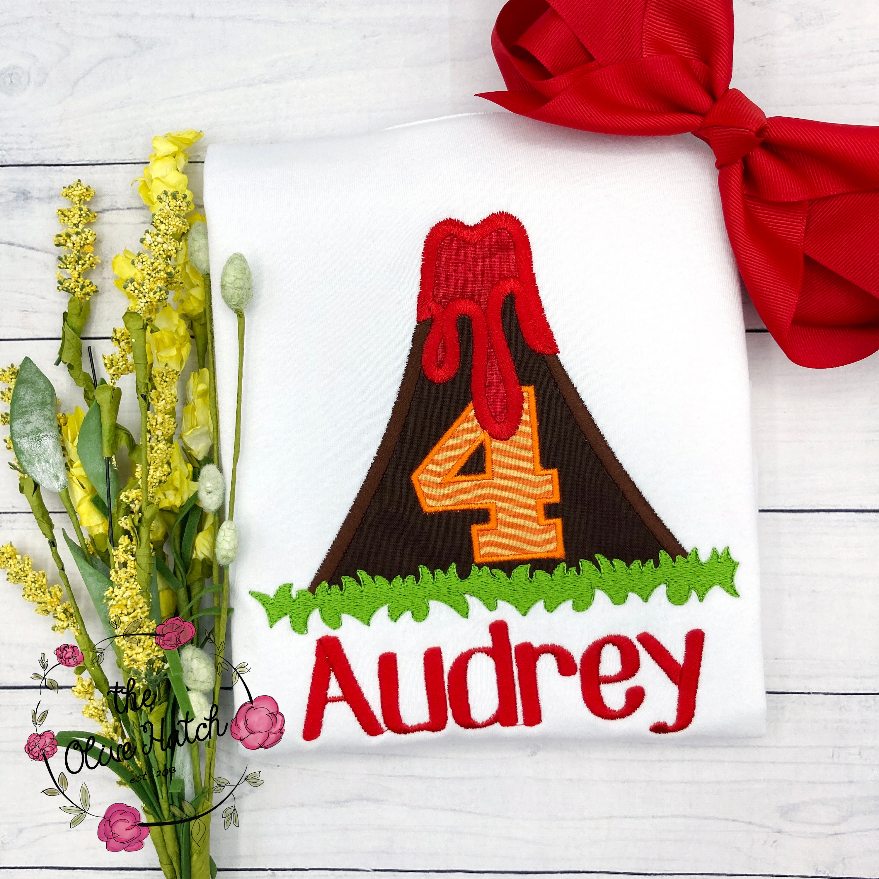 Volcano Birthday Shirt / Volcano Applique Shirt / Boy Birthday | Etsy