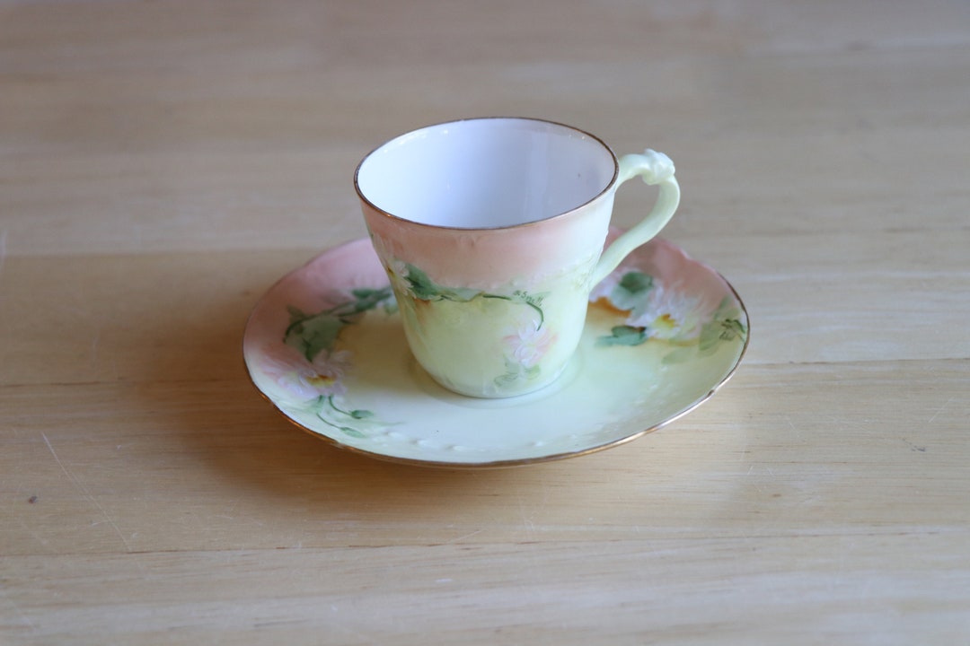 Antique Limoges E. Gerard Et Dufraiuseix Abbott France Delicate Teacup ...