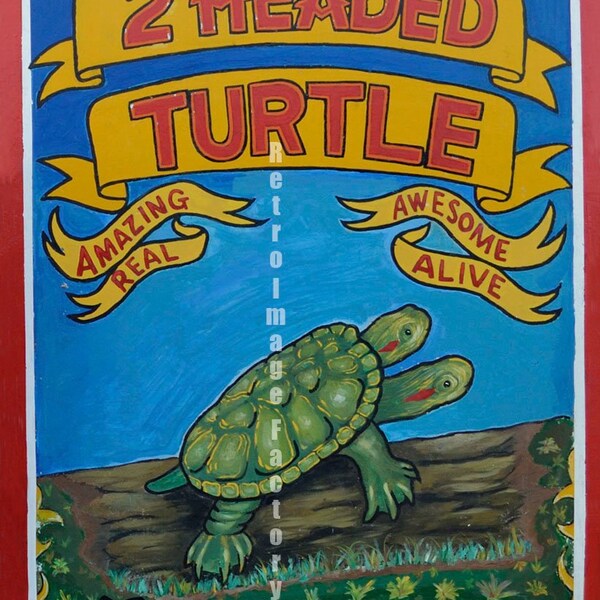 Sideshow Banner - Etsy