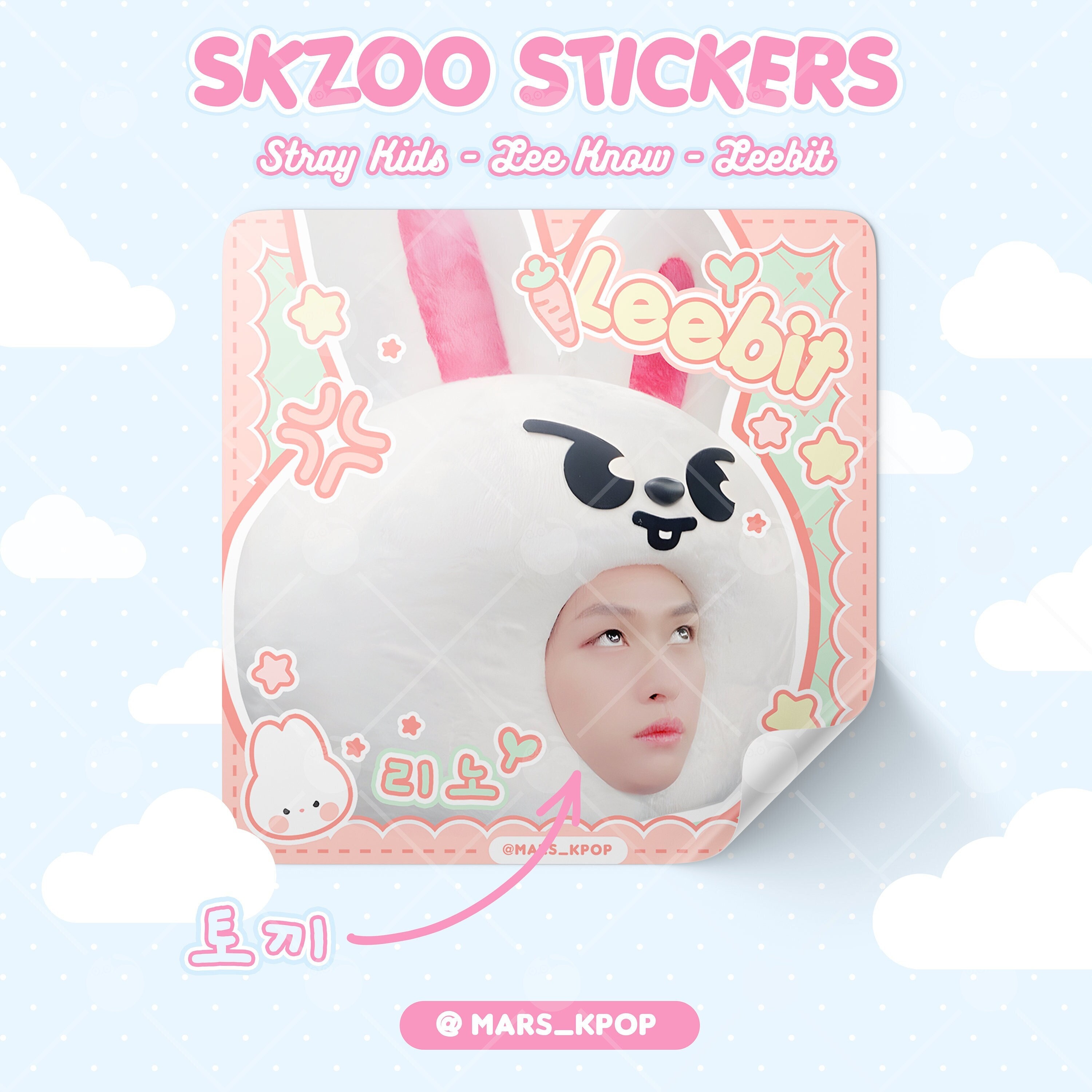 Leebit Stickers Stray Kids SKZOO - Etsy