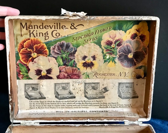 Antique Store Display Flower Seed Box, Mandeville & King, Rochester - Etsy