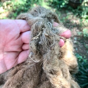 Antique Flax Strick, Bundle of Flax. Twenty Bundles - Etsy