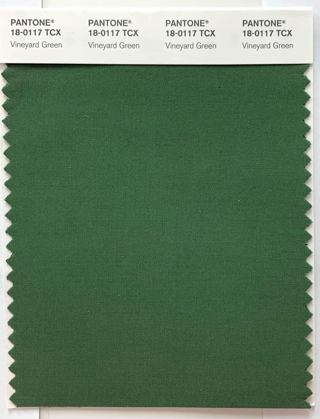 Original Pantone Smart 18-0117 TCX Vineyard Green Color Swatch - Etsy