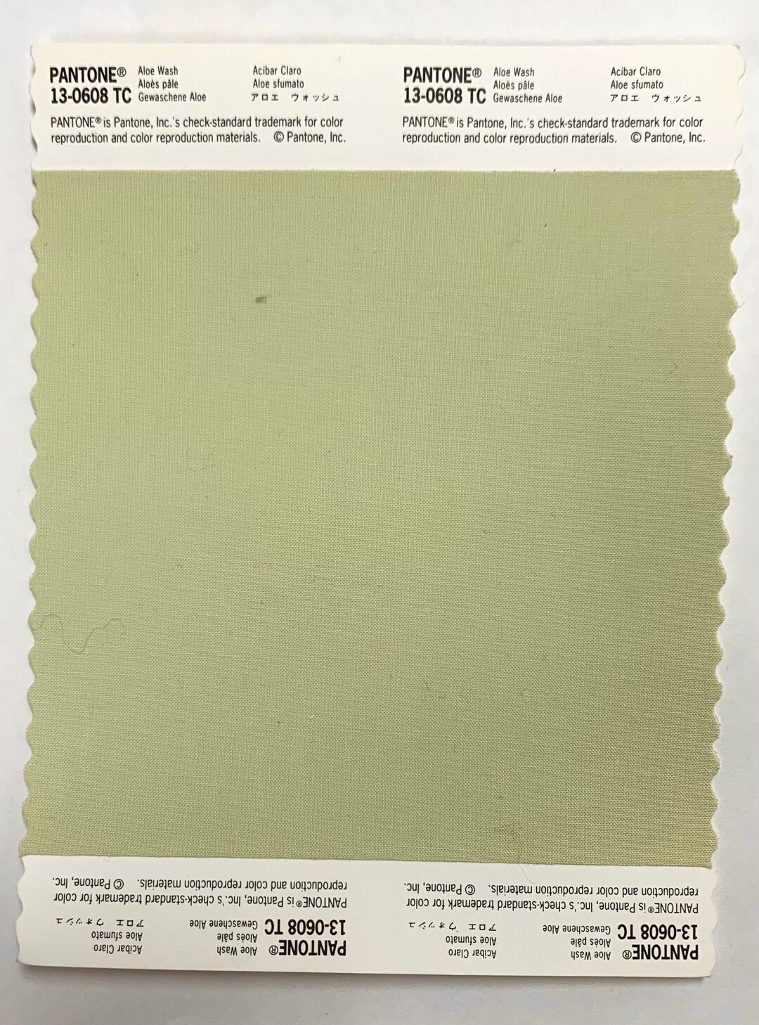 Original Pantone Swatch 13-0608 TC Aloe Wash - Etsy
