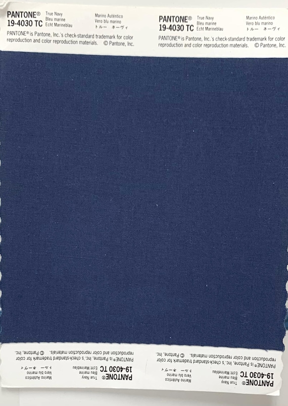 Pantone Navy Blue Swatch