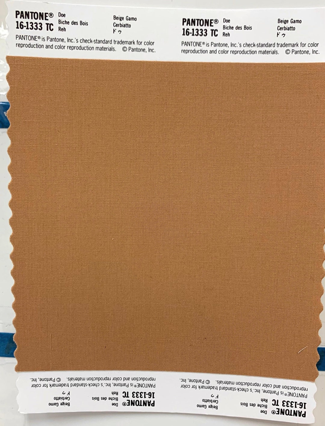 Original 4x4 Pantone Swatch 16-1333 TC Doe - Etsy