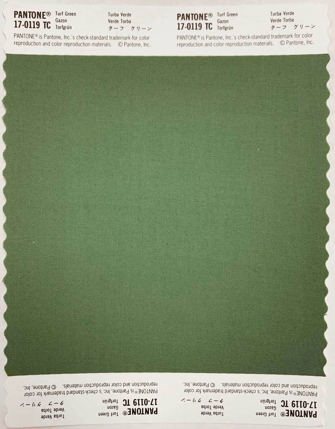 Original Pantone Swatch 17-0119 TC Turf Green - Etsy