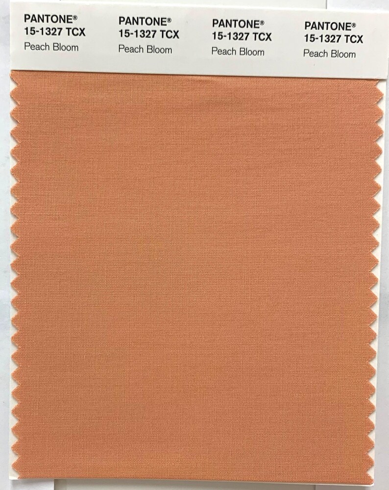 Original Pantone Smart 15-1327 TCX Peach Bloom Color Swatch Card - Etsy