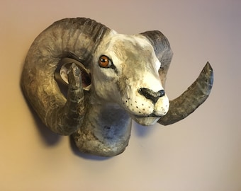 Paper Mache Pig Head - Trophy Style - Fake Taxidermy - Etsy UK