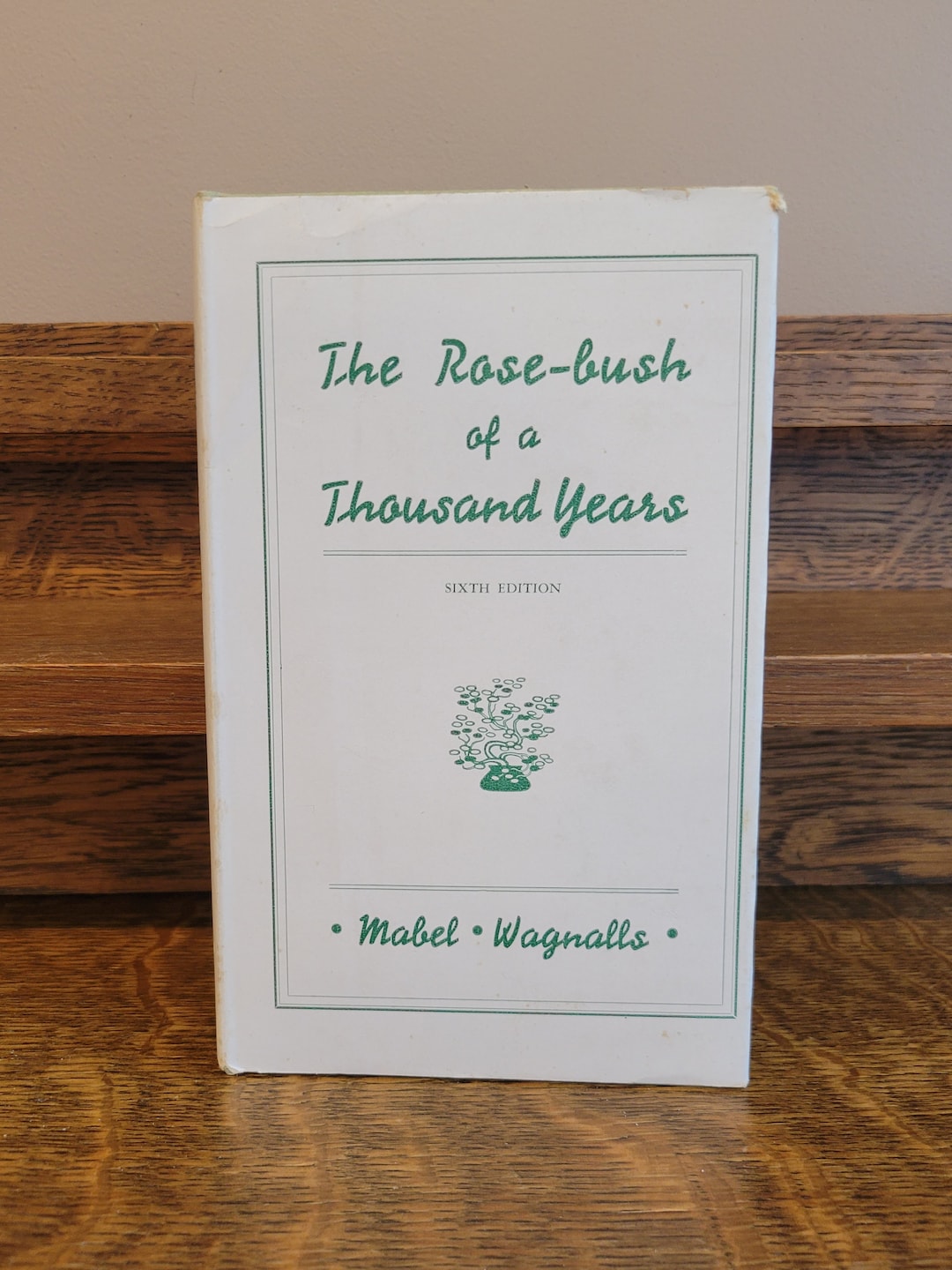 Antique Hardbound - the Rose-bush of a Thousand Years - 1918 6th Ed ...