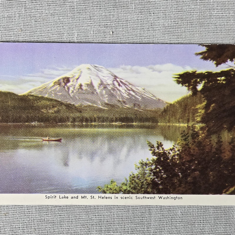 1950s Washington Postcard - Etsy