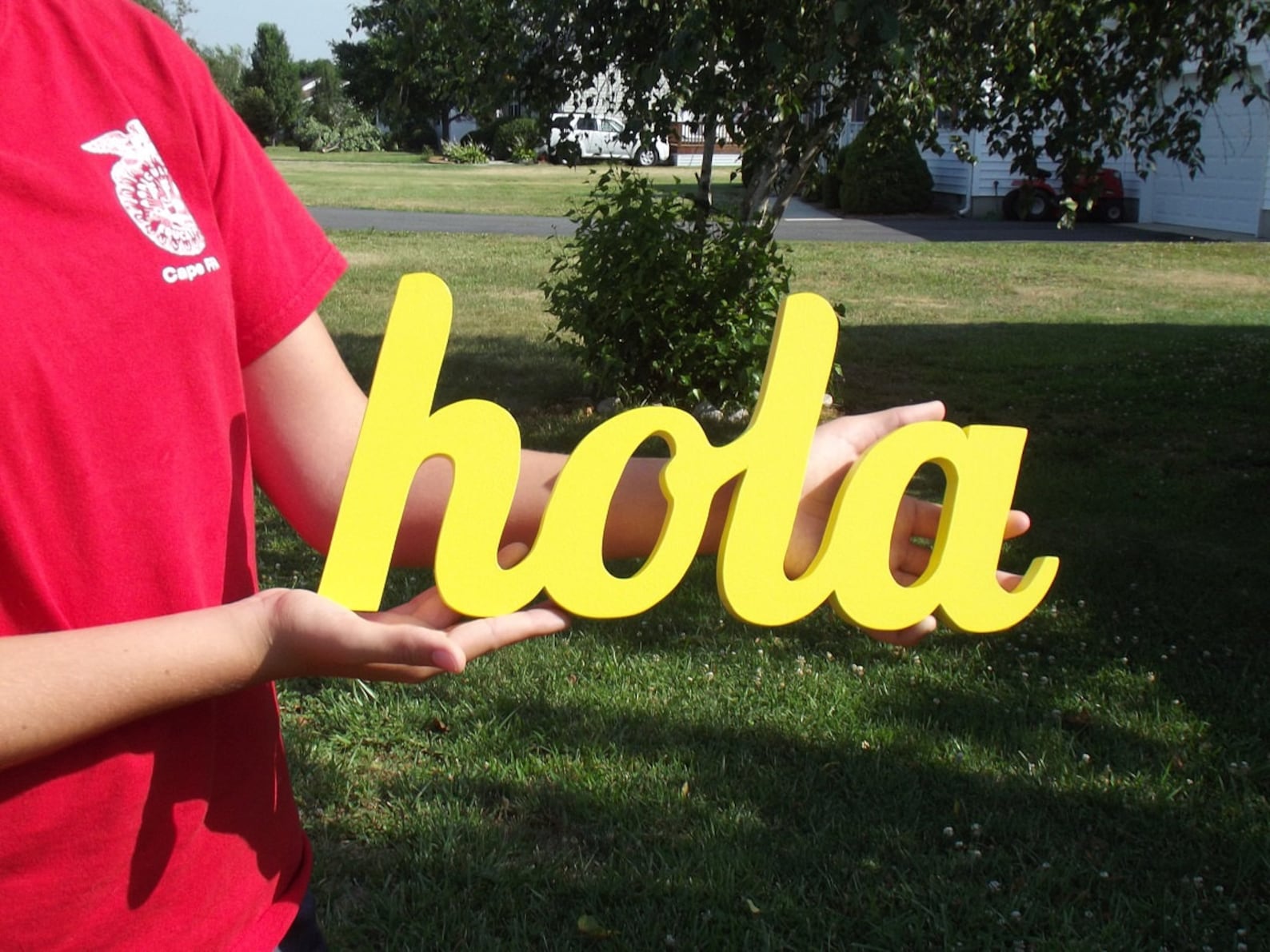 HOLA - Wood Spanish Hello Sign, Stand-alone Decoration Shelf Display ...