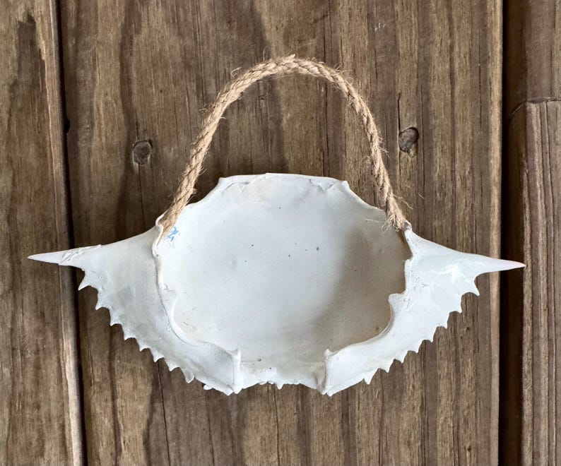Handcrafted Crab Shell Ornament - Funny Crabby Coastal Decor - Etsy