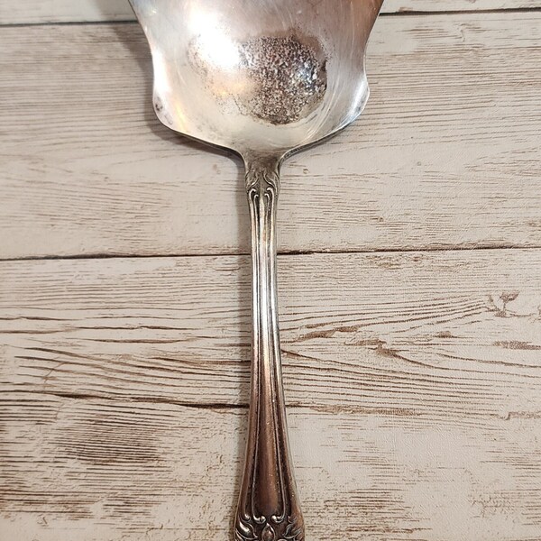 Spoon Flower - Etsy