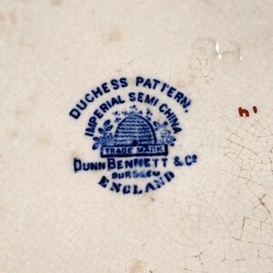 Rare Dunn Bennett & Co. Vintage Bursleum England Duchess Pattern Plate ...