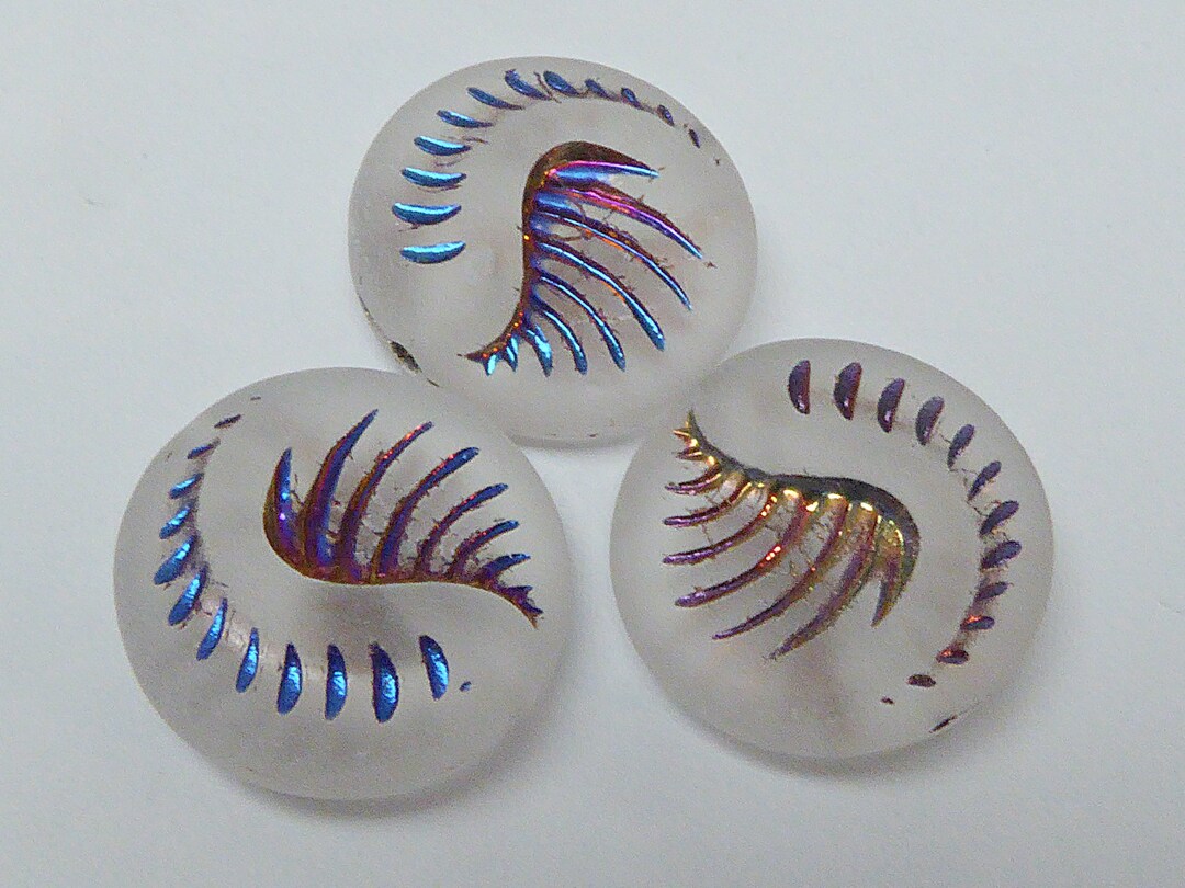 5 Matte White Translucent Fossil Beads - Etsy