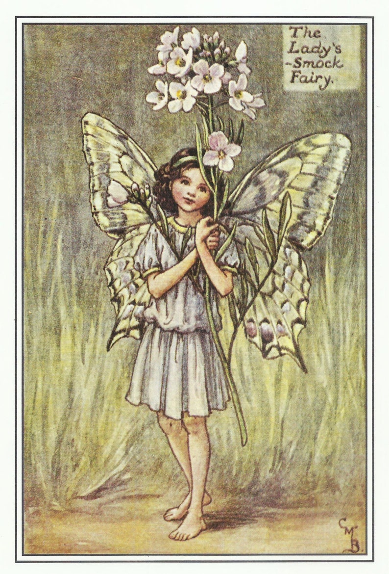Ladys Smock Fairy By Cicely Mary Barker Flower Fairies Etsy