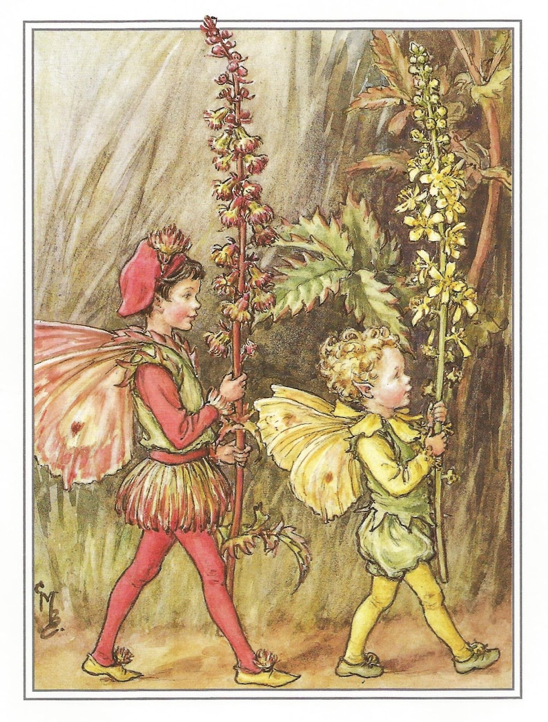 The Agrimony Fairy Cicely Mary Barker Flower Fairies Vintage Etsy