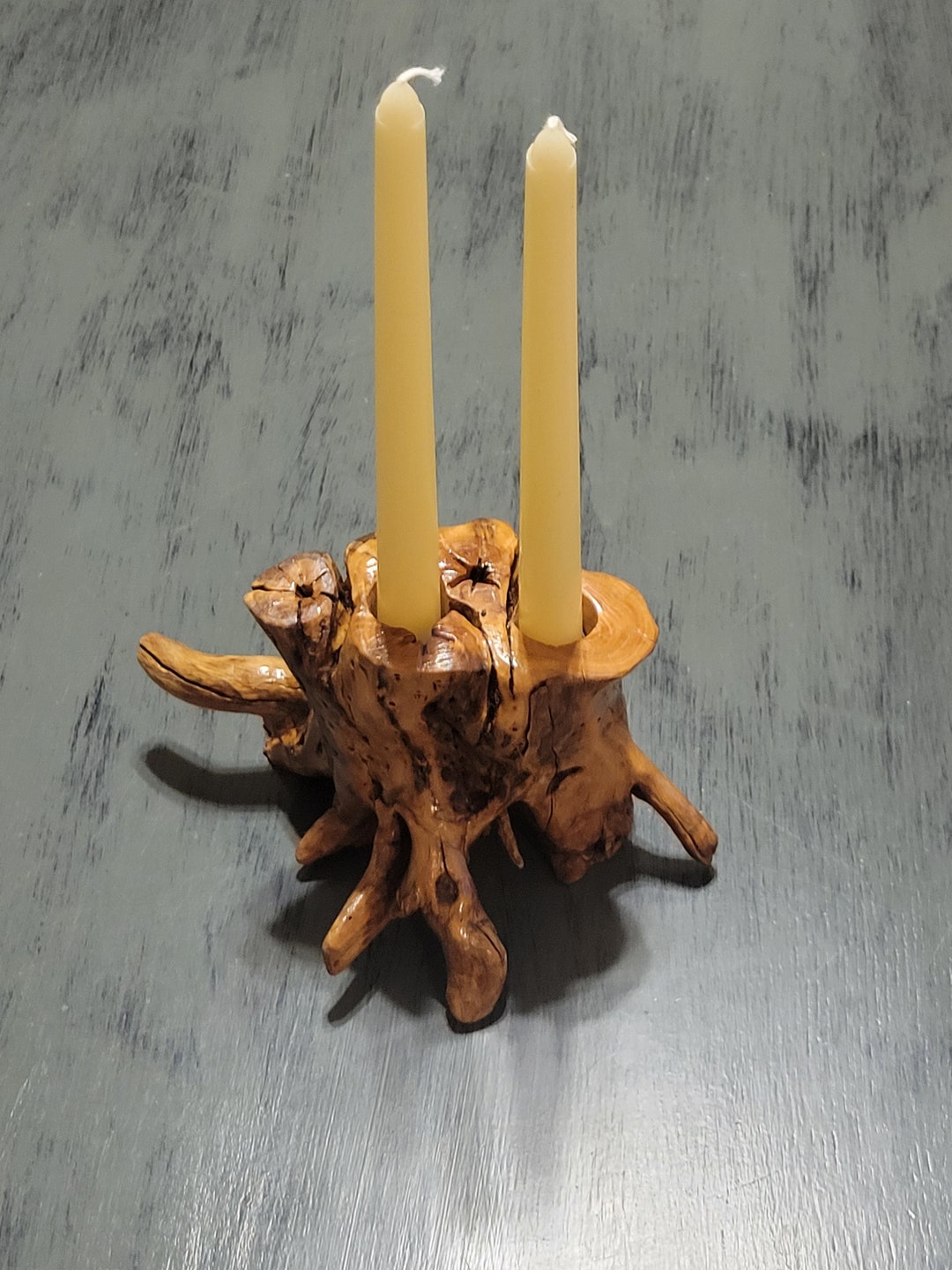 Cholla Cactus Root Double Candle Stick Holder - Etsy