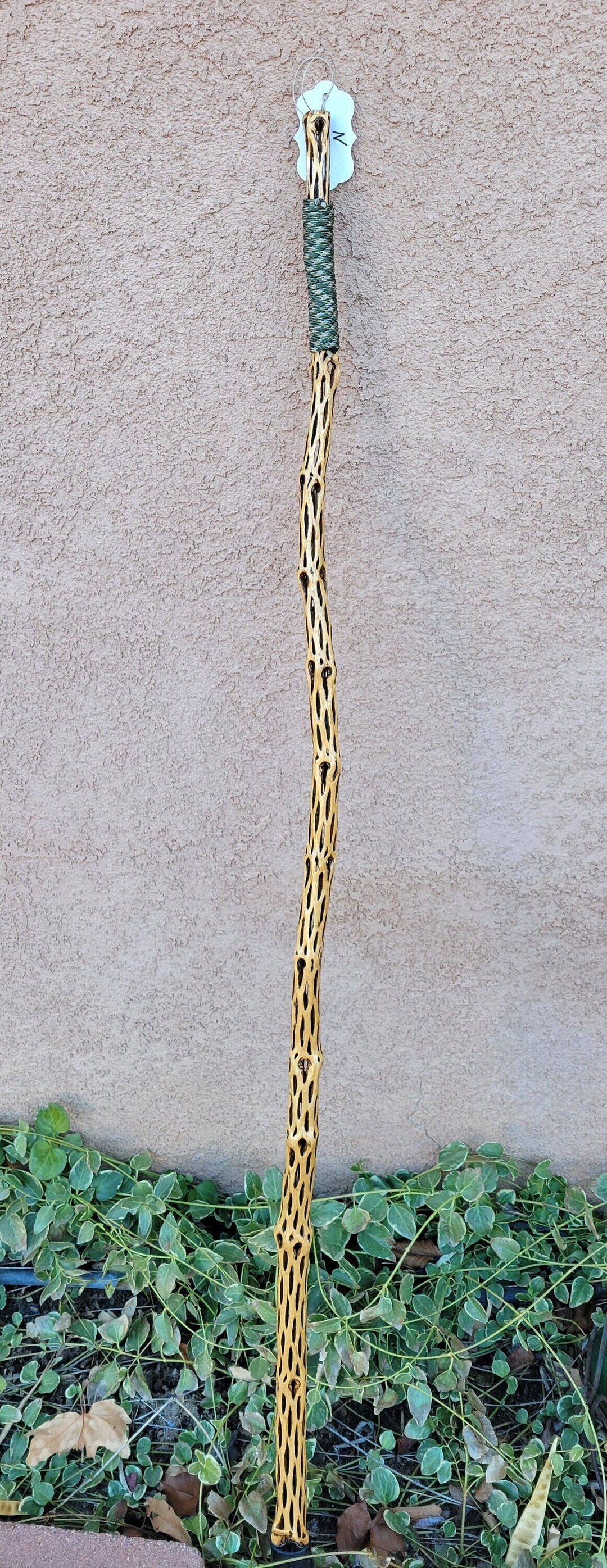 Cholla Cactus Walking/hiking Stick 49" (N) - Etsy