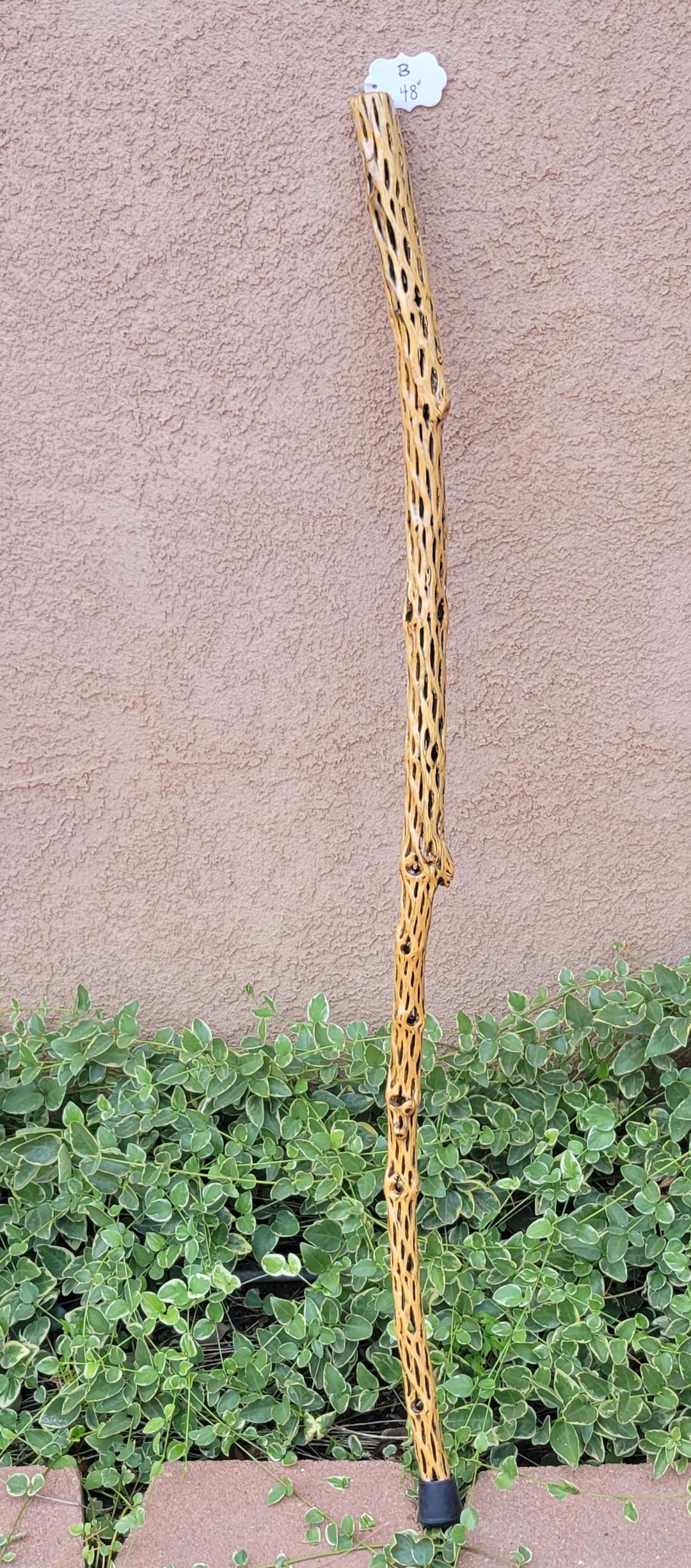 Cholla Cactus Walking/hiking Stick 48 B - Etsy