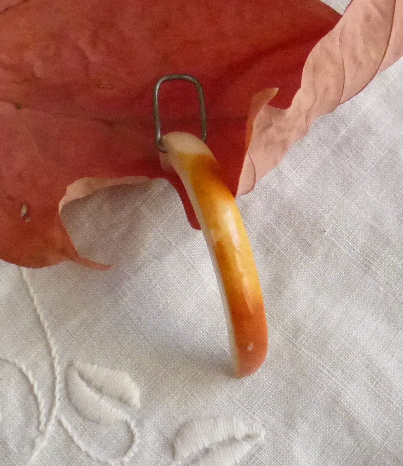 Genuine Beaver Tooth Teeth Zipper Pull or Charm, Short or Long for ...