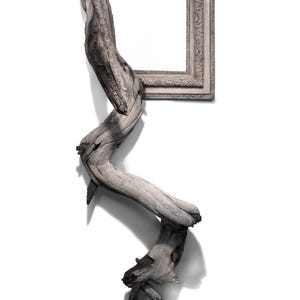 Fusion Frames NW Tree Branch Frame Sculpture - Hera: Antique 19th ...
