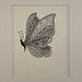 Butterfly- Butterfly Symbolizes Freedom, Liberation, and the Pursuit of ...