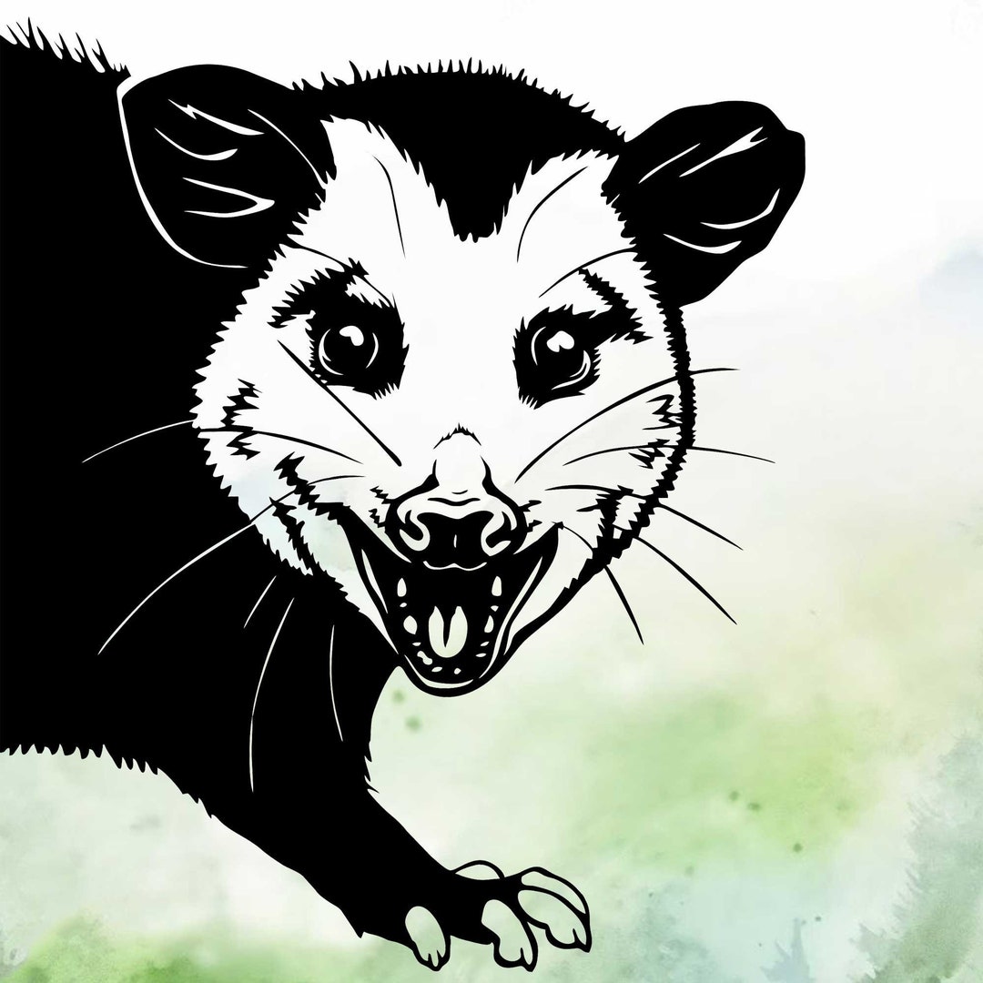 Peeking Opossum Vinyl Decal Car Decal Window Decal - Etsy