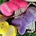 Deluxe Personalized Bunnies for Easter, Custom Peeps Toys, Easter Toys ...
