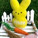 Deluxe Personalized Bunnies for Easter, Custom Peeps Toys, Easter Toys ...