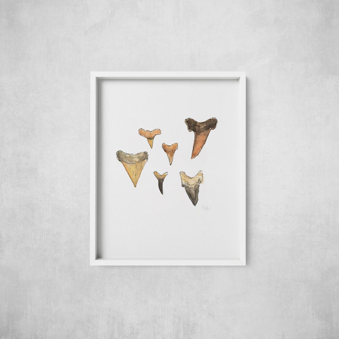 Shark Teeth Poster Coastal Nautical Wall Decor for Ocean Lovers - Etsy