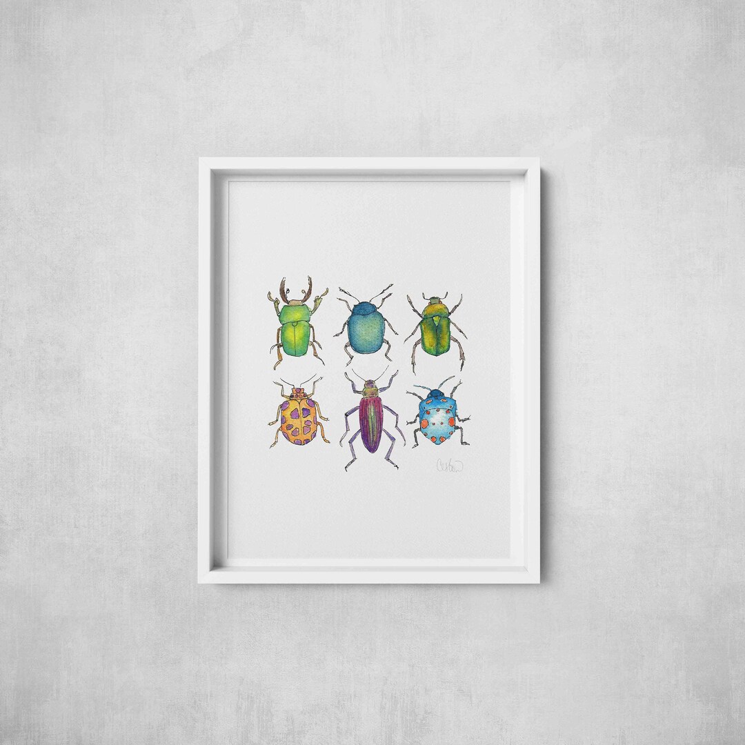 Colorful Beetles Poster Print – Vibrant Insect Wall Art for Nature ...