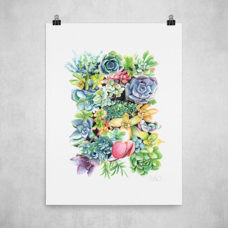 Colorful Watercolor Succulent Arrangement / Succulent Painting ...