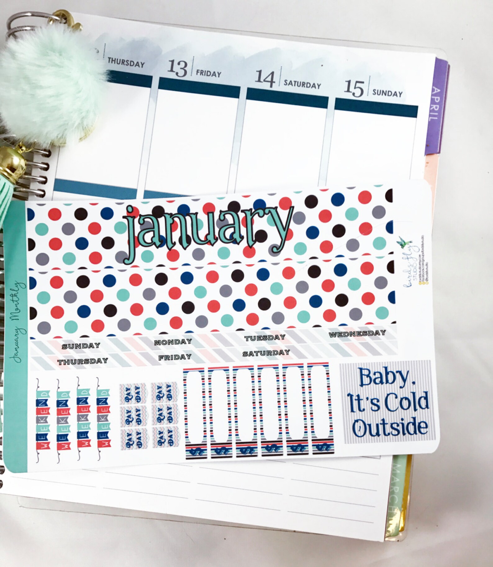 January MONTHLY Kit Planner Stickers Monthly Spread for Erin | Etsy