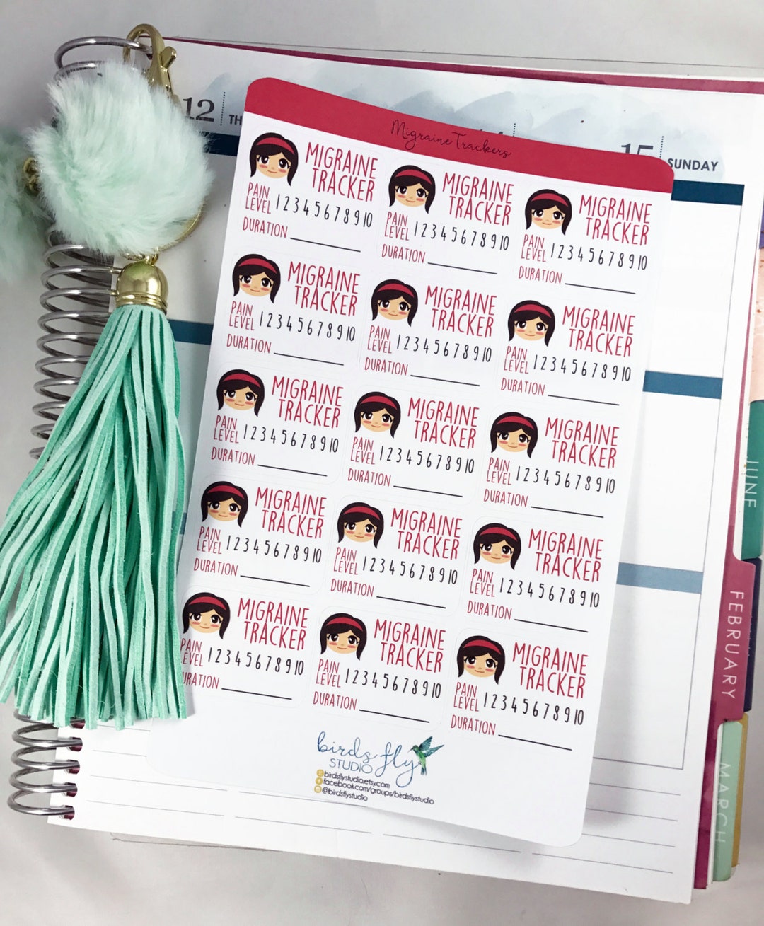 Migraine Tracker Stickers | Planner Migraine Sticker for Erin Condren ...