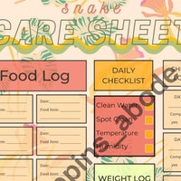 Rat Care Information Printable PDF | Rat Care Report | Rat Care Details ...