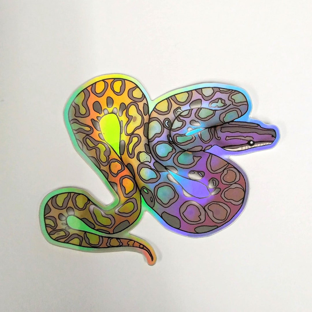 Holographic Rainbow Boa Sticker - Etsy